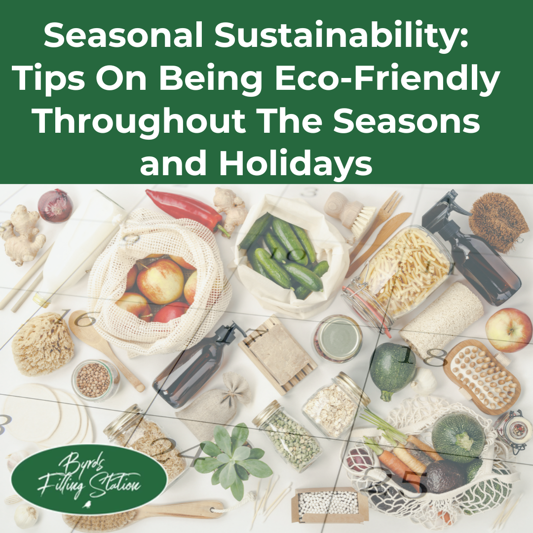 Seasonal Sustainability: Tips for being eco-friendly at the holidays ...